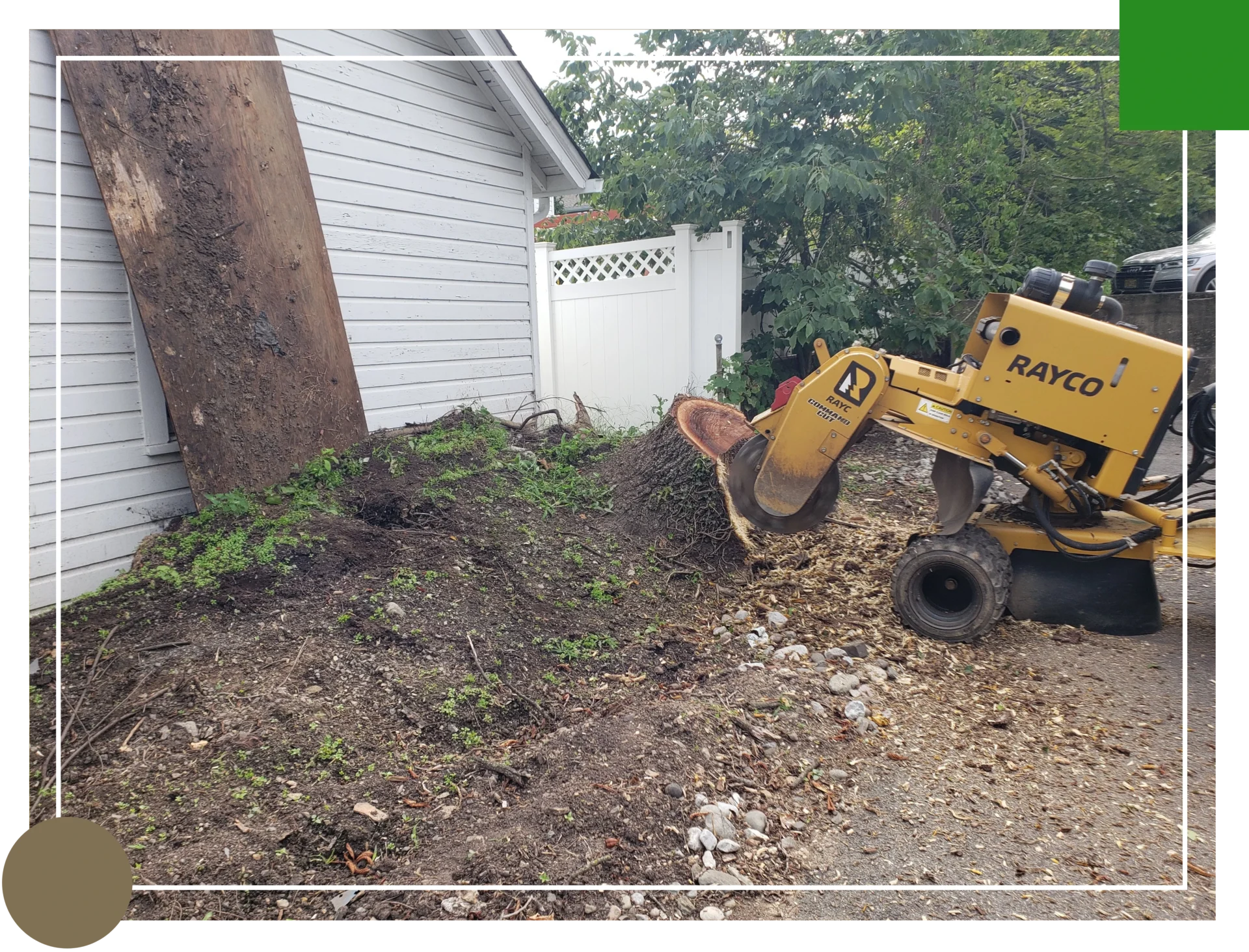 Services - Our Stump Grinding Process